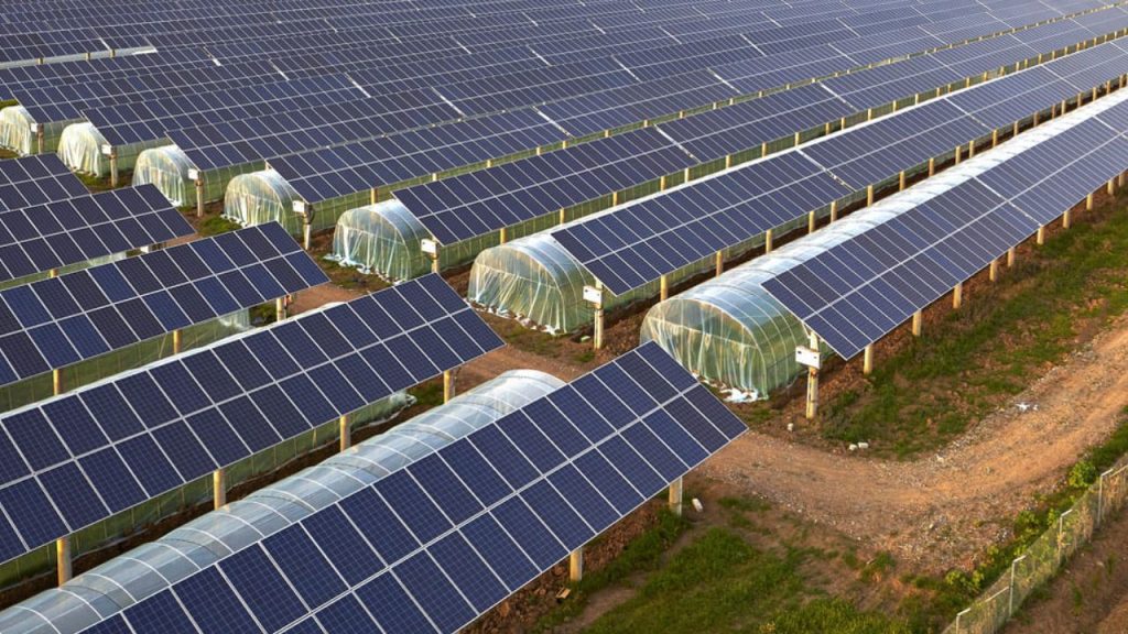 Comparativo de paneles solares